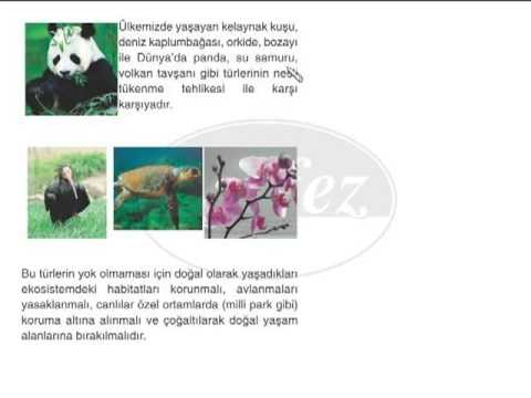Ekosistem 7 Sınıf Bölüm3
