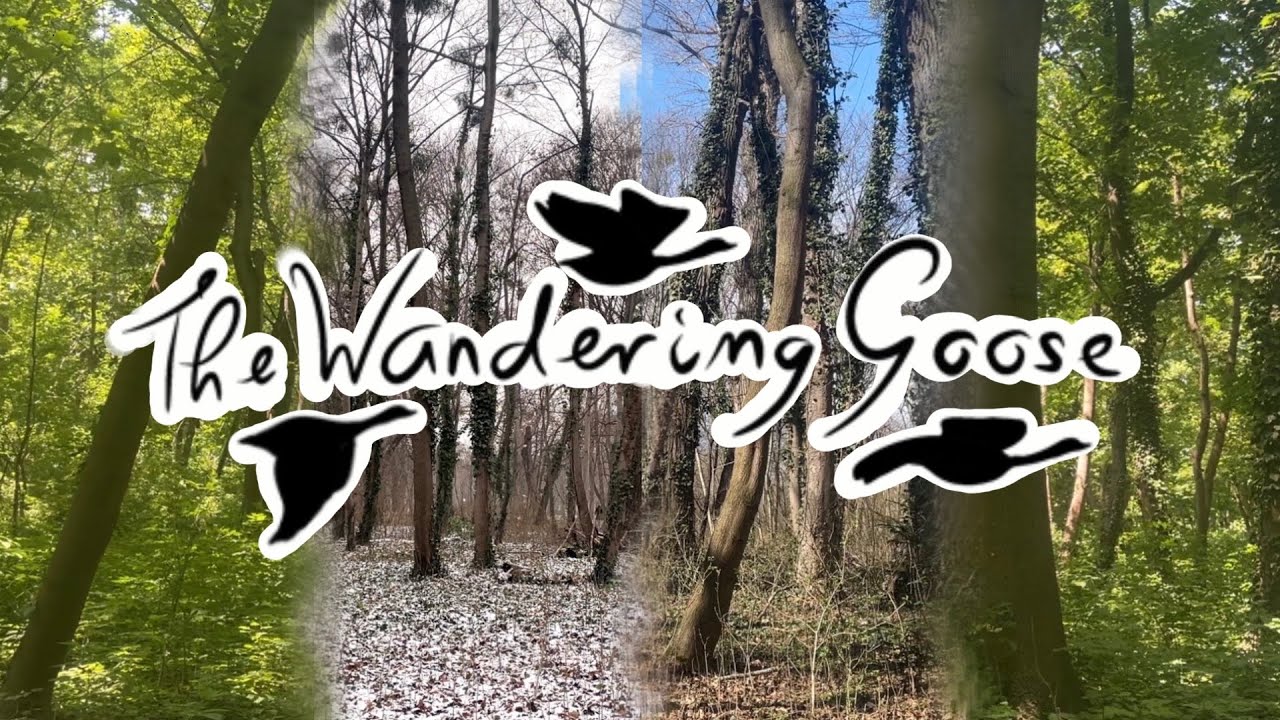 The Wandering Goose Channel Trailer - YouTube