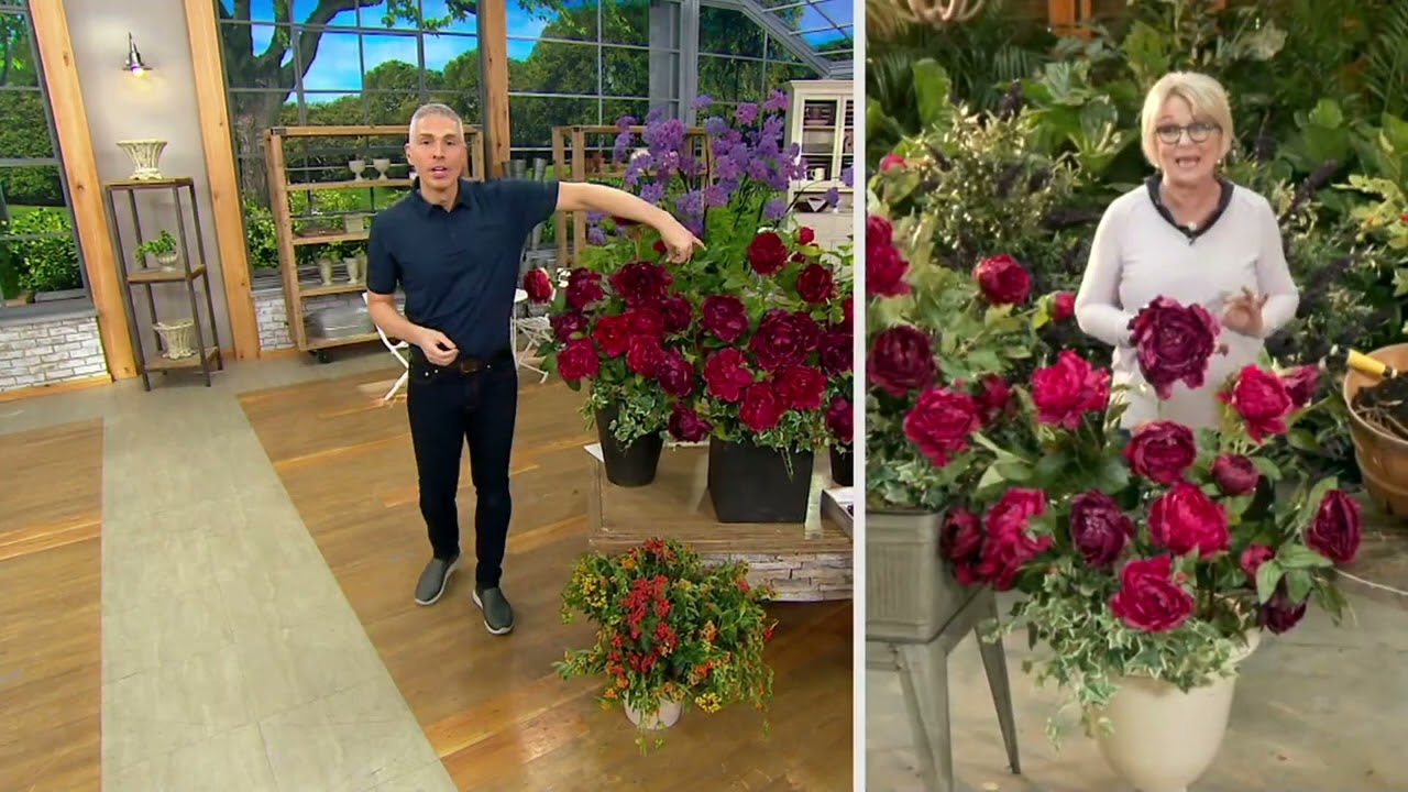 Who Cut The Merriwick Flower Good Witch | Best Flower Site