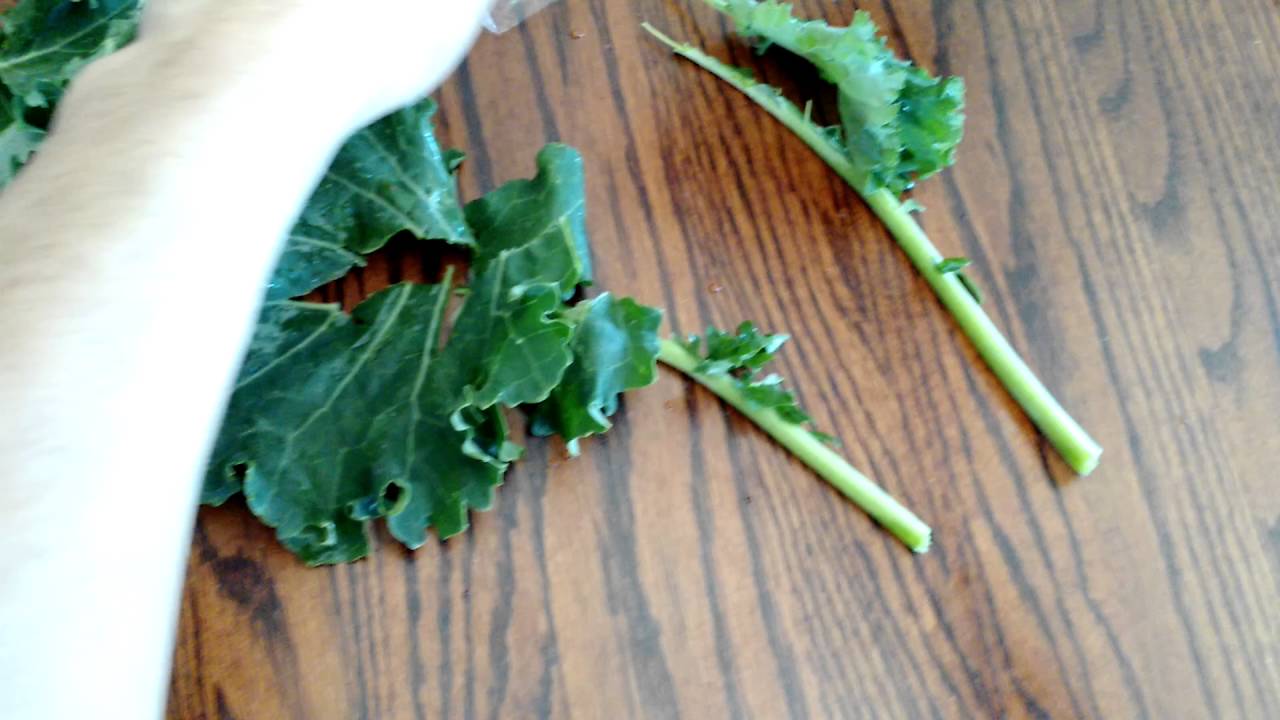 How to separate leaves from stems - YouTube
