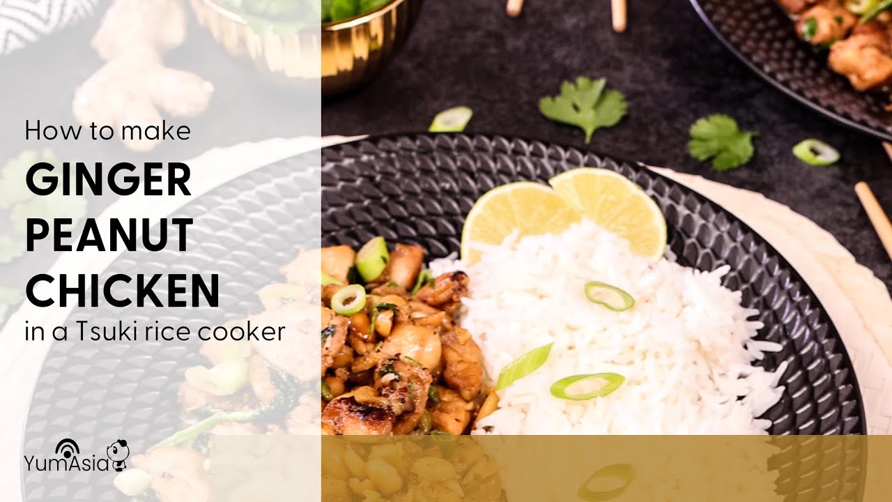 Ginger Peanut Chicken With Rice Made In A Tsuki Rice Cooker - YouTube