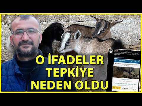 Cüce Keçisini İnternetten Satmak İsterken 'Hayvan Tacizcisi' Oldu