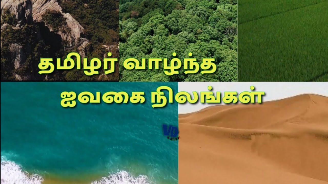 ஐவகை நிலங்கள் | விளக்கம் மற்றும் கருப்பொருள்கள் | Five types of lands ...