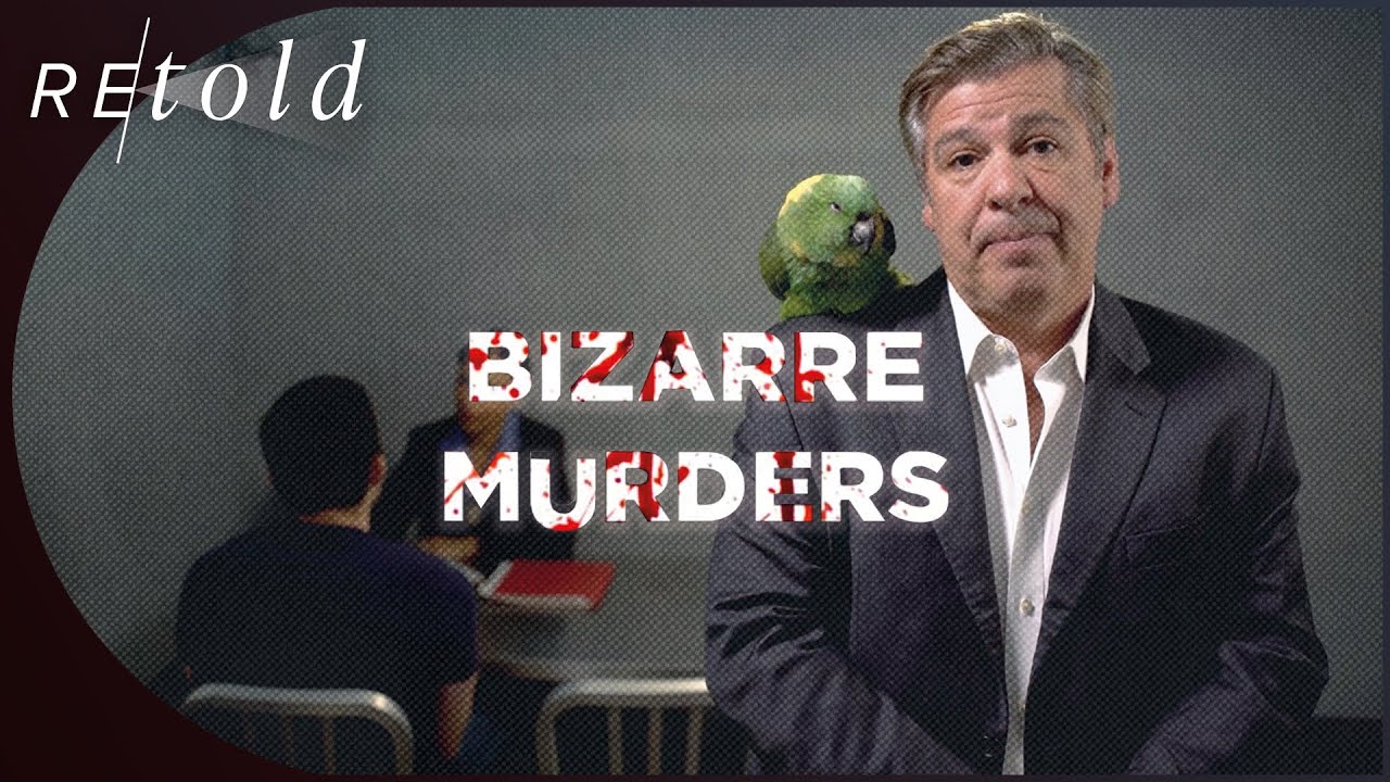 Talking Parrot Solves Murder Case As Key Witness: Bizarre Murders | Retold - YouTube