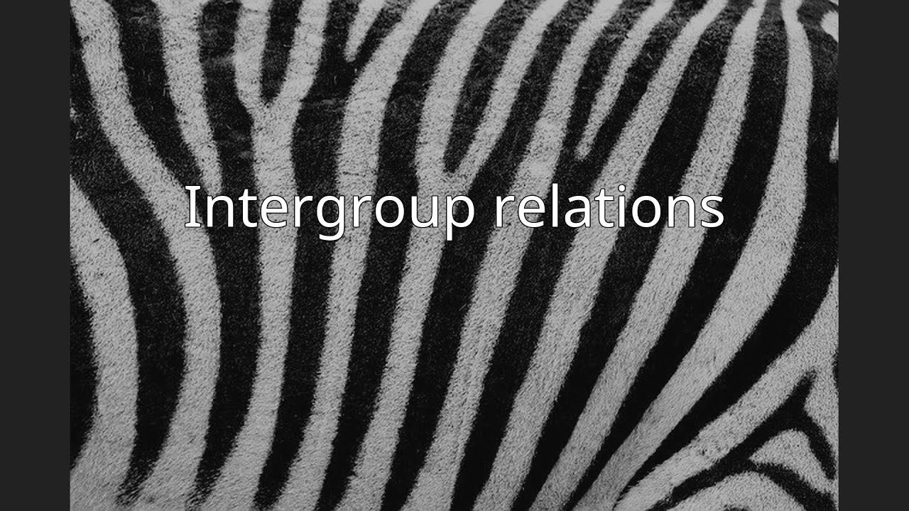 Intergroup relations - YouTube
