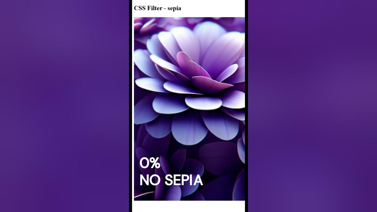 Css Filter Sepia Css Css3 Filter Sepia Style Csstips Csstricks Interviewpro Youtube