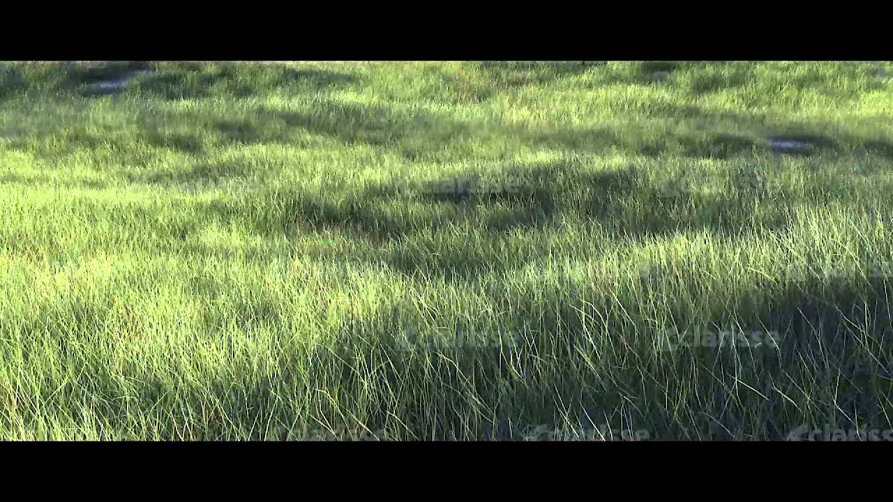 Clarisse IFX - Grass Render Shading Research - YouTube