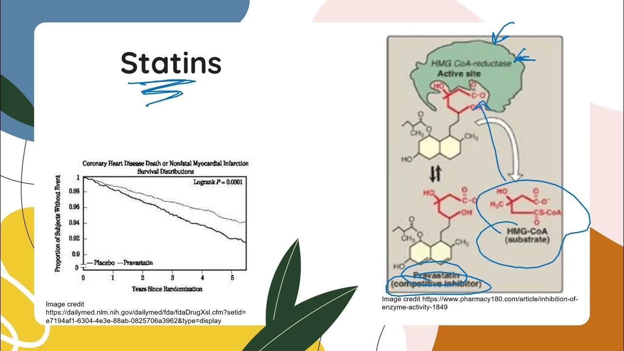 IB DP Biology Topic C1.1 Enzymes and metabolism AHL - YouTube
