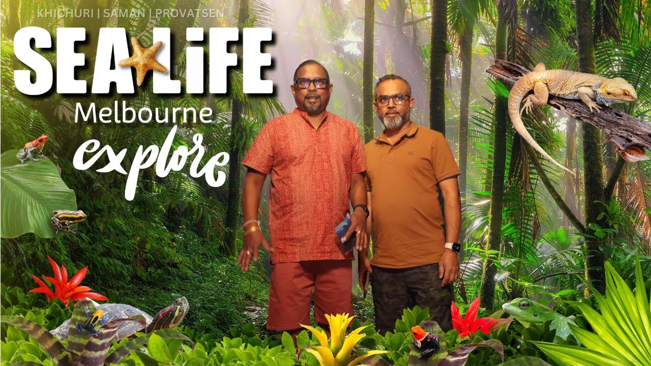 Dive into Adventure: Exploring SEA LIFE Sydney Aquarium – A Magical ...