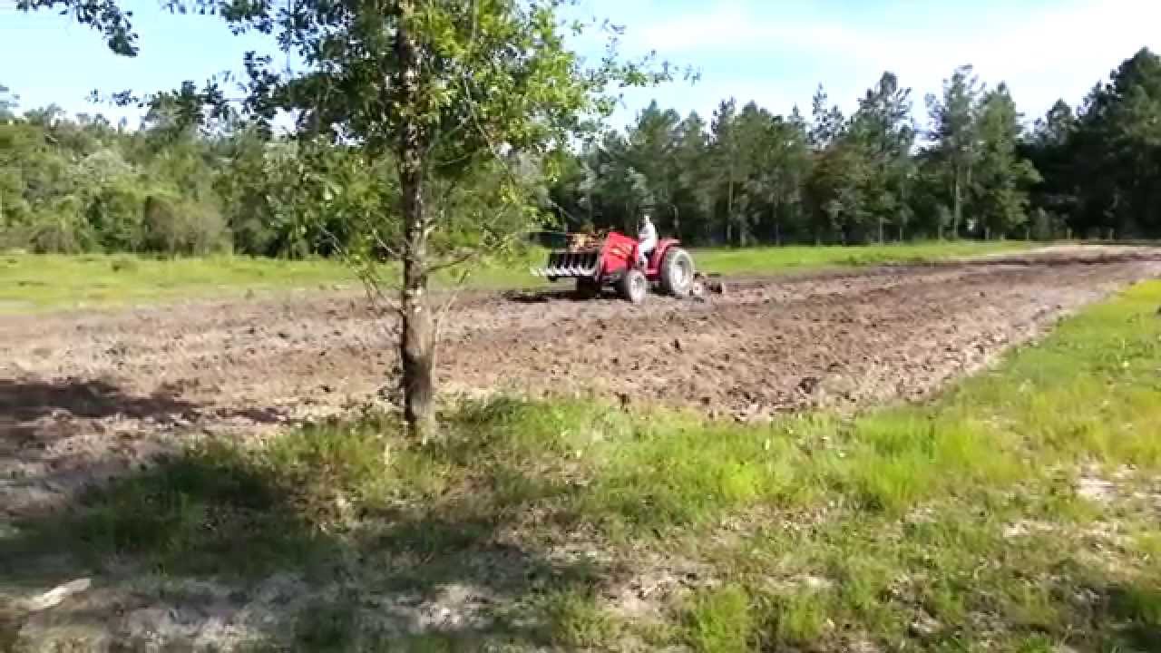 Massey Ferguson 1540 discing field - YouTube