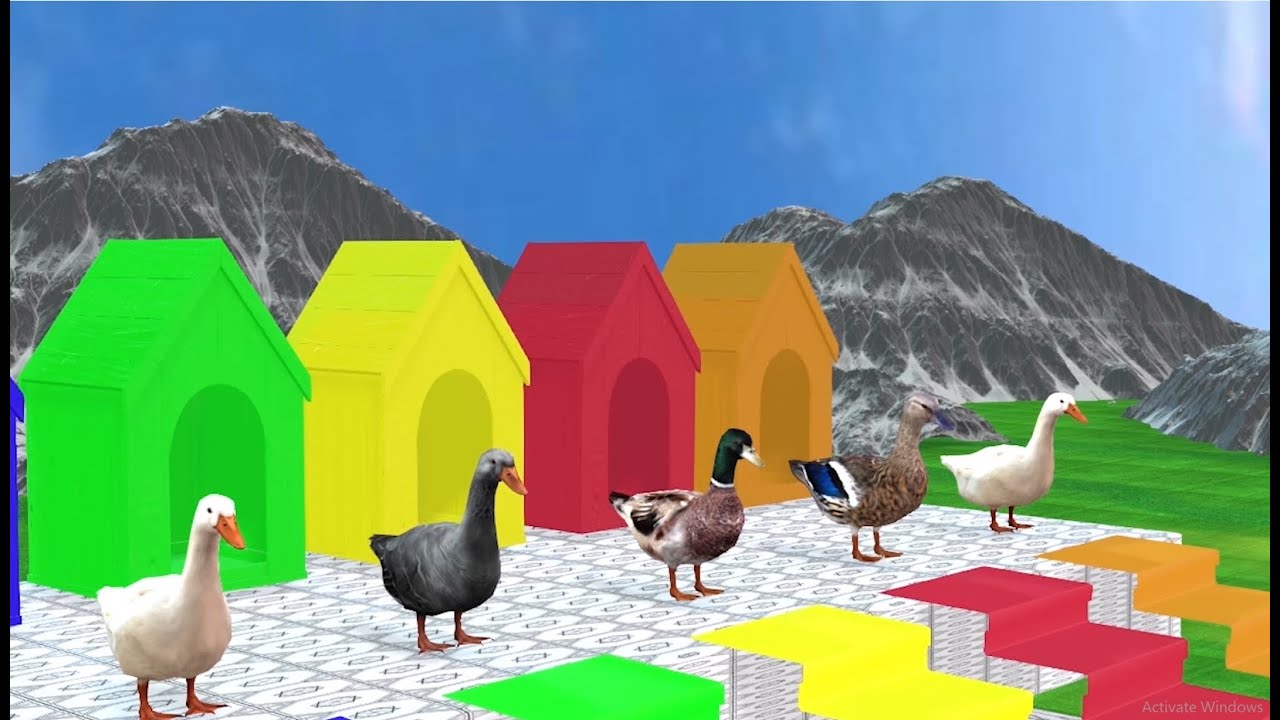 5 Giant Duck Cartoon,Tiger,Cow,rabbit,Gorilla,Hamsters,Dog,Cat Wild ...