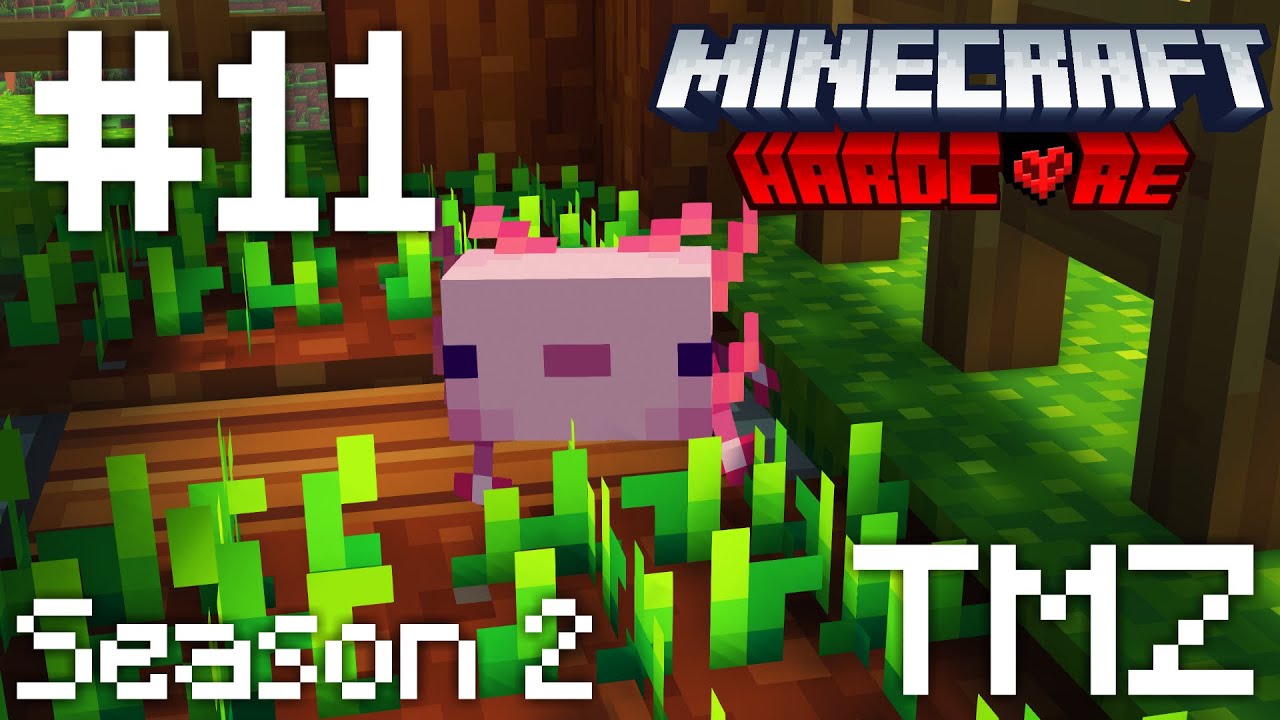 Minecraft Hardcore Season 2 | Ep.11 | TMZ | Relief - YouTube