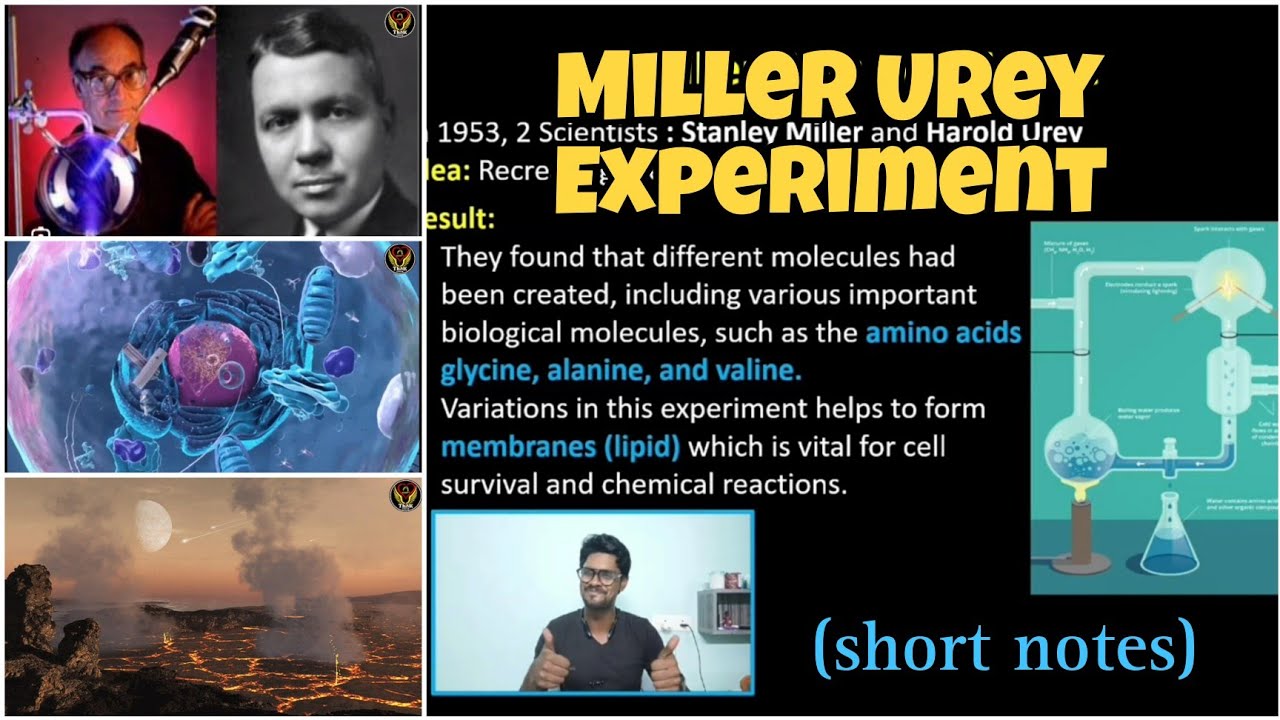 Miller Urey Experiment (short notes) | Abiogenesis | Tamil ...