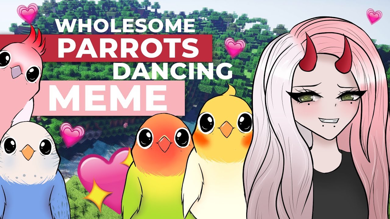 💖Wholesome Parrots Dancing MEME 💖 - YouTube
