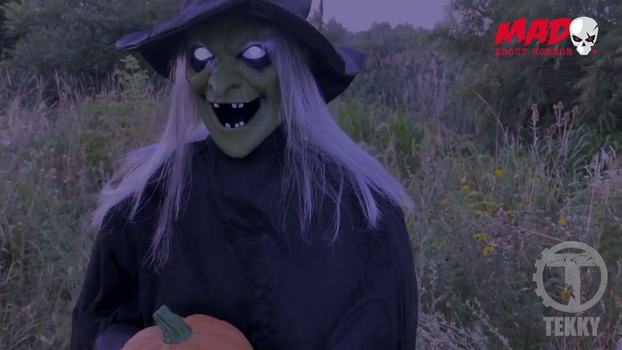 7ft Ghost Witch Animated Prop - NEW - YouTube