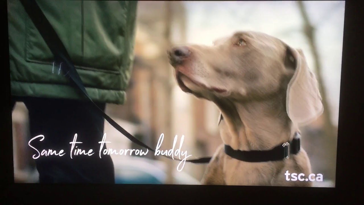 Reuben TSC Commercial | Barks n’ Rec BnRgta - YouTube