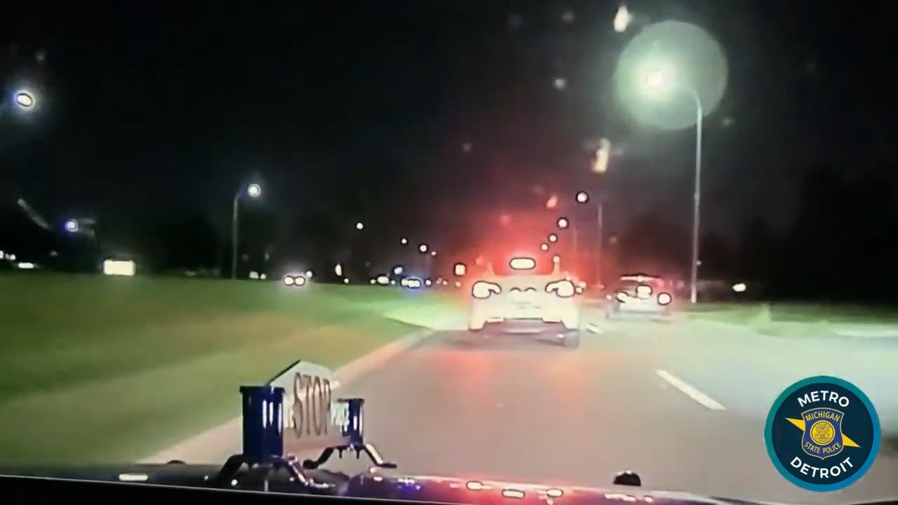 Tesla test drive turns into police chase in Metro Detroit, Woman ...