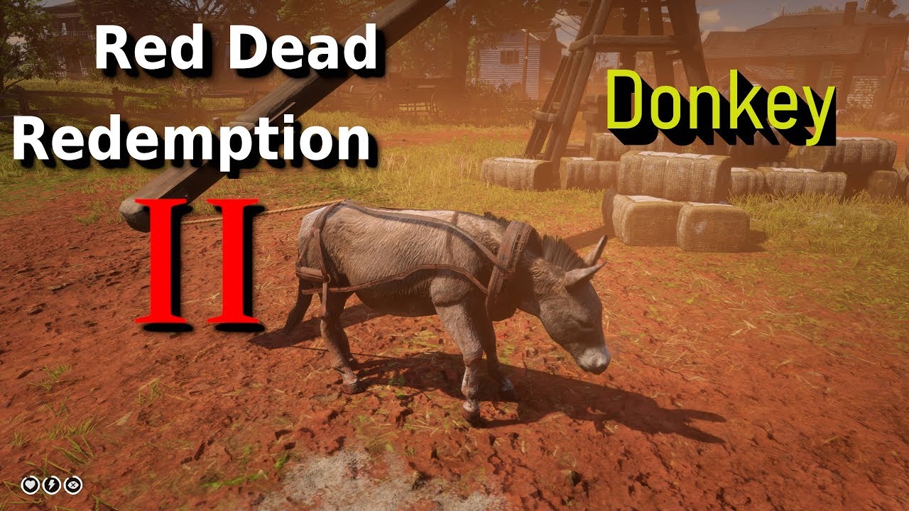 Where to find The Donkey in Red Dead Redemption 2 - YouTube