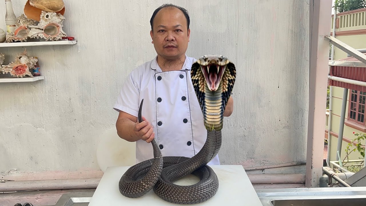 best snake meat recipe // gun chef - YouTube