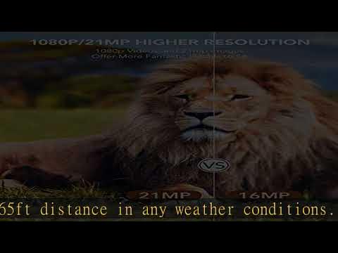 ZETHUS Trail Camera TC-10, 21MP 1080P Hunting Game Cameras with Night ...