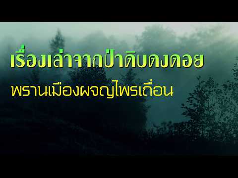 เรื่องเล่าจากป่าดิบดงดอย ชุด พรานเมืองผจญไพรเถื่อน (ฟังเพลินยาวๆกว่า 4 ชั่วโมง)