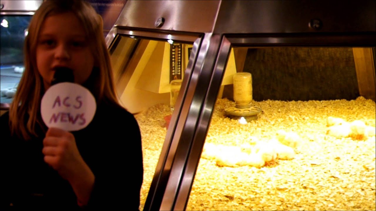 Avery Coonley School News visits the Museum of Science and Industry in ...