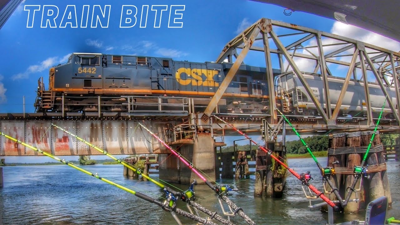 What lives under this trestle? - YouTube