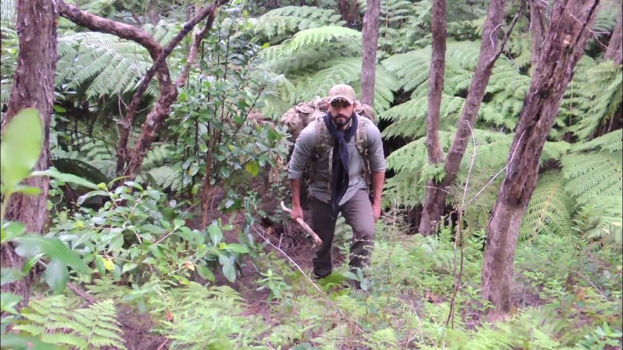 Intro Ep 1 Hello World, Hello Survivors - YouTube