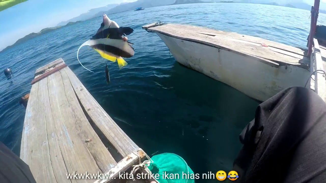 Mancing seru dengan perahu spesial buat mancing - YouTube