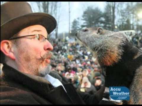 Punxsutawney Phil - YouTube