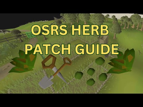 How To Keep Herbs From Dying Osrs