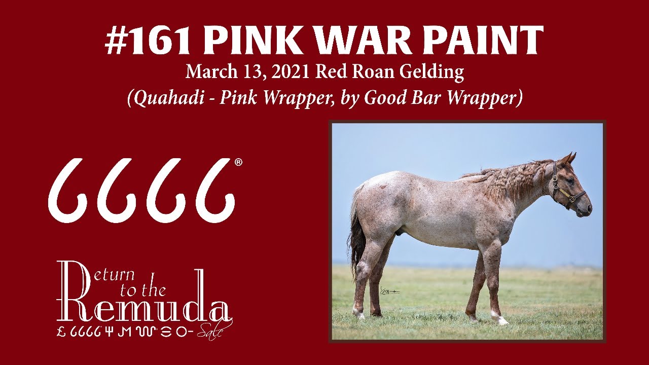 RTTR 2023 - Hip 161 Pink War Paint - YouTube