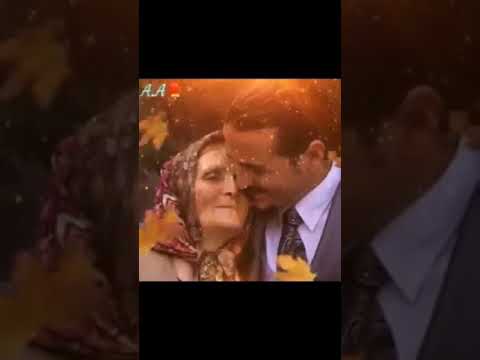 Ömrüme kış geldi anam.