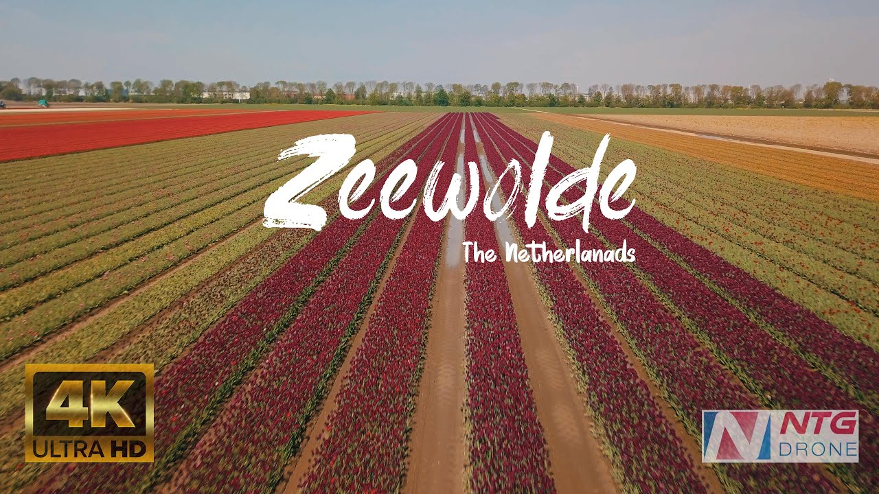 Zeewolde | Flevoland, Netherlands Drone Video in 4K - YouTube