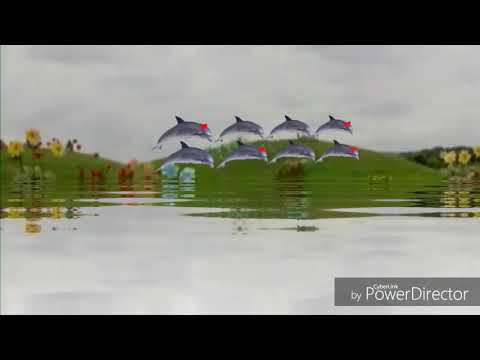 Dog & Friends Episode 4: Fun At Slide Part 5 - YouTube