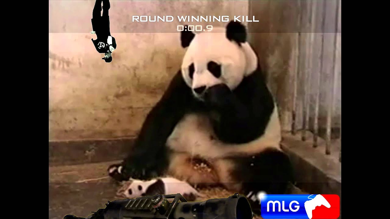 MLG Panda - YouTube