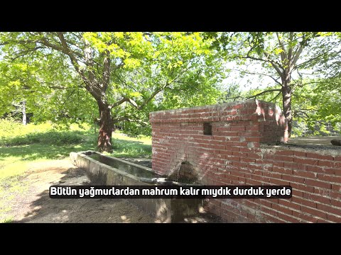 Susuz SoMbahar - Coşkun Ağra