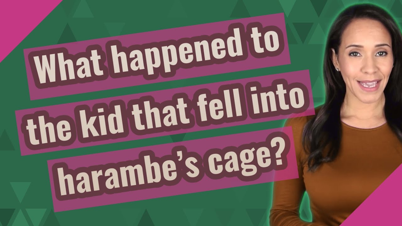 What happened to the kid that fell into harambe's cage? - YouTube