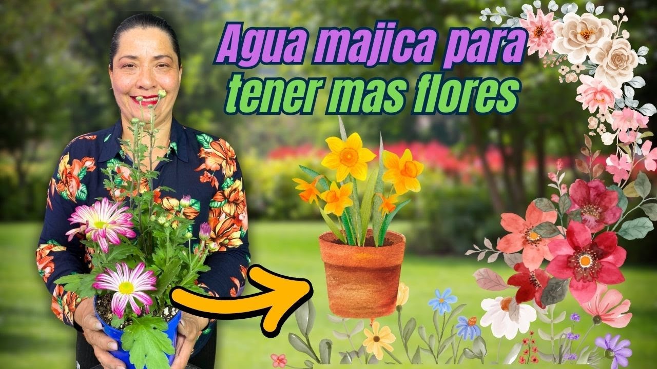 Excelente remedio casero para tener flores en todas tus plantas #flores ...
