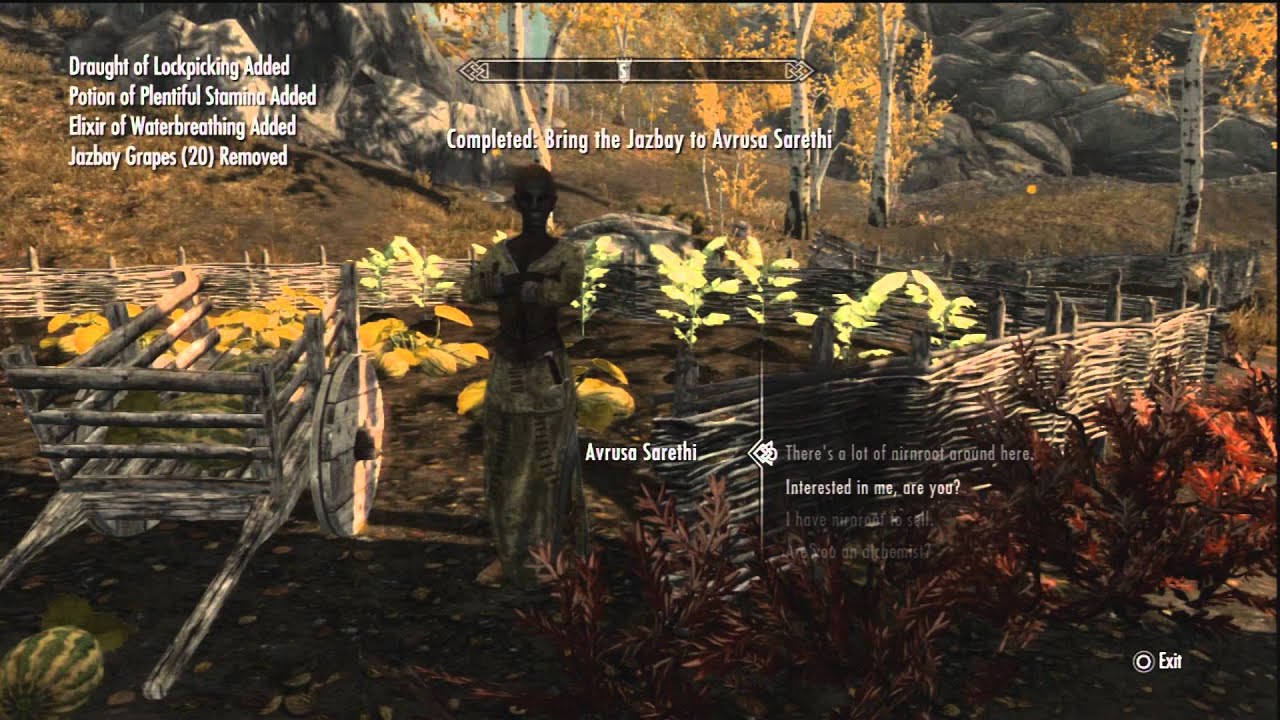 Skyrim Avrusa Sarethi