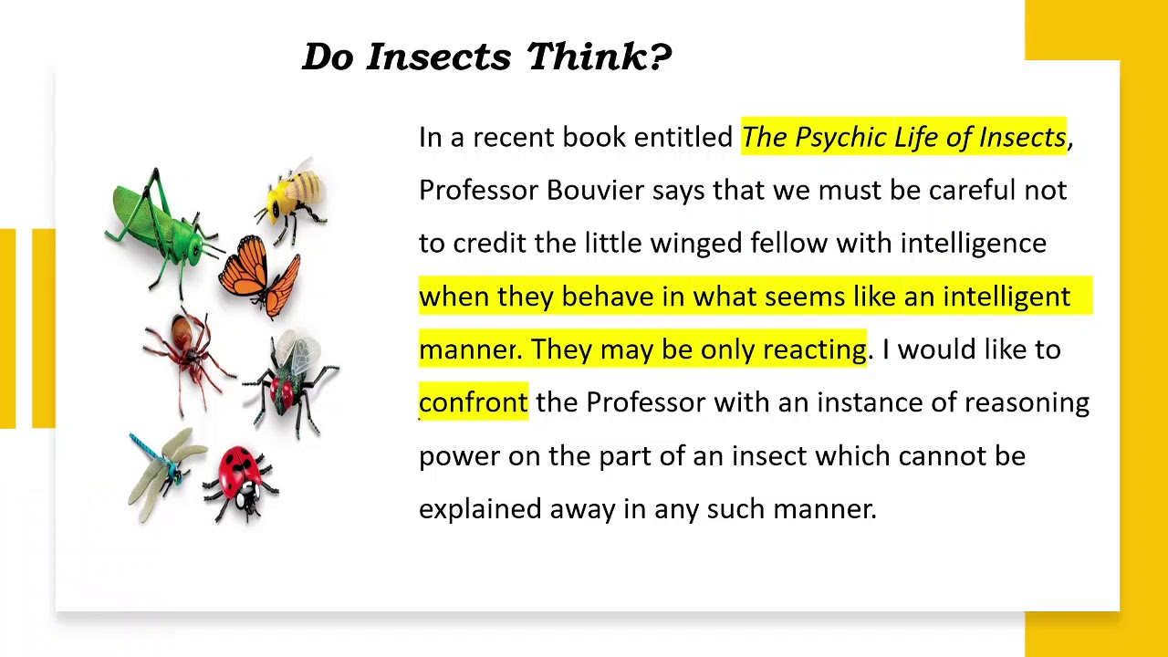 Do Insects Think part 1 - YouTube