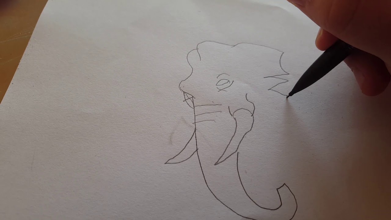 How to draw an Asian elephant - YouTube
