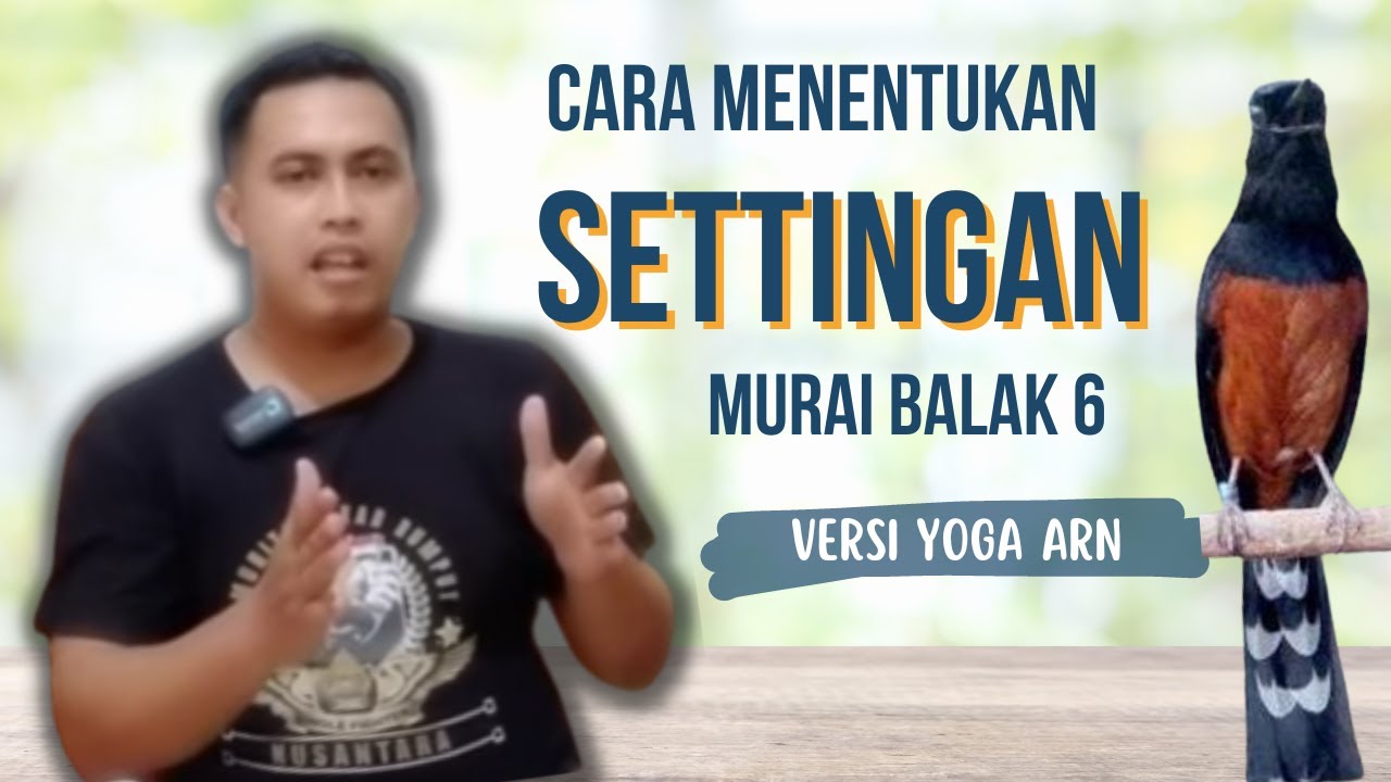 CARA MENENTUKAN SETTINGAN MURAI BALAK 6 !! VERSI YOGA ARN ! # ...