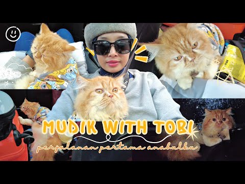 BAWA MUDIK KUCING 12 JAM PERJALANAN MOBIL
