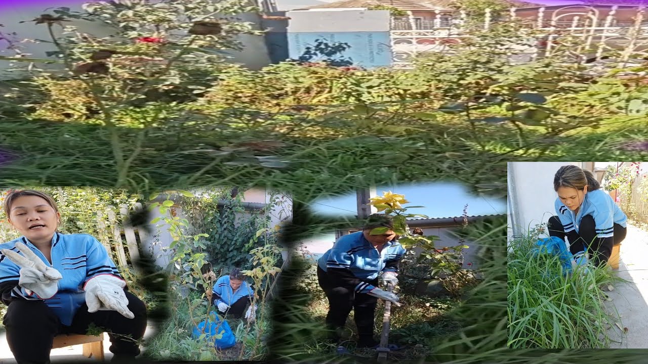 NAGSIMULA NG LINISAN ANG HARAPAN NG AMING BAHAY - YouTube