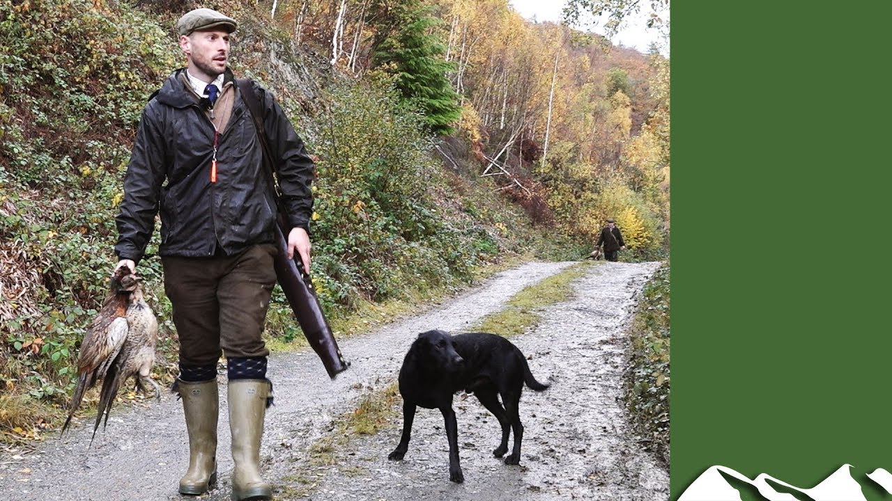 High Pheasants: Shelton Abbey Shoot - YouTube