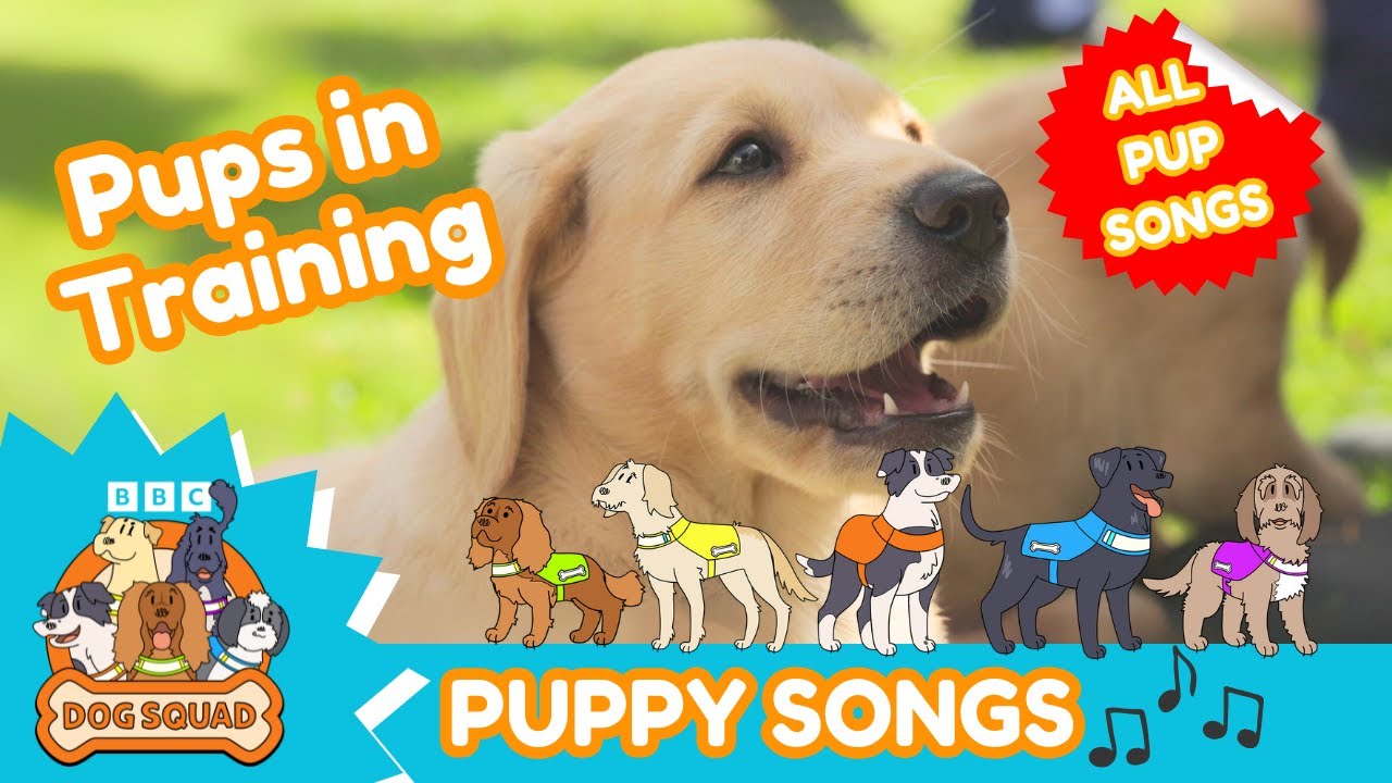 Pups in Training Song Compilation! | Sing Along | Super Hero Assistance ...