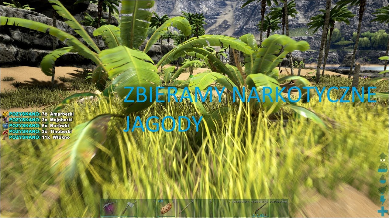 ark survival evolved ragnarok cz5 zbieramy narcoberry - YouTube