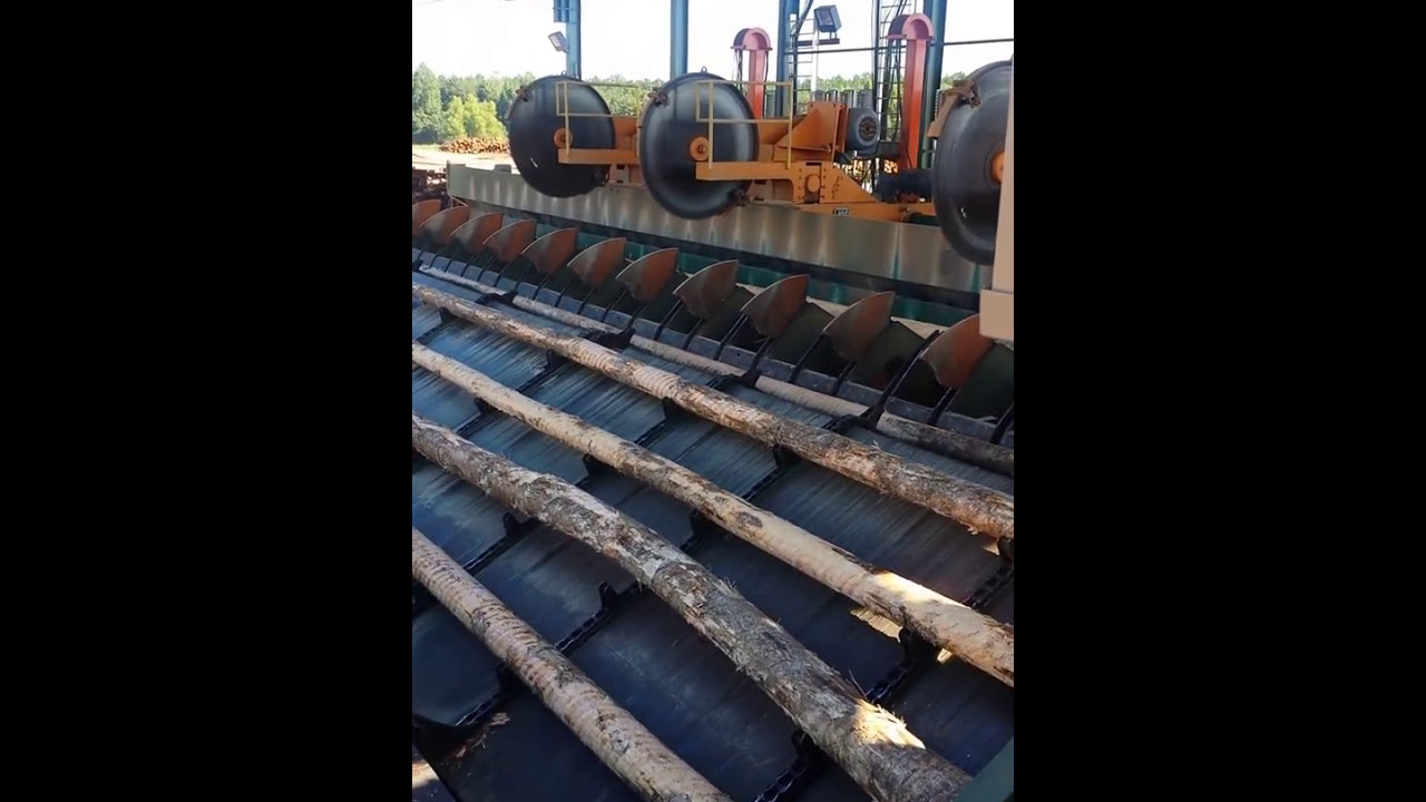 Optimized log bucking - YouTube