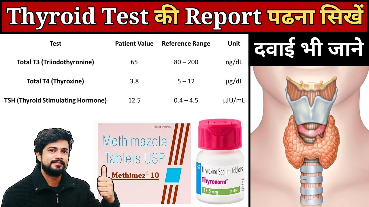 Thyroid Report Kaise Check Kare | Thyroid Profile Test || T3, T4, TSH ...